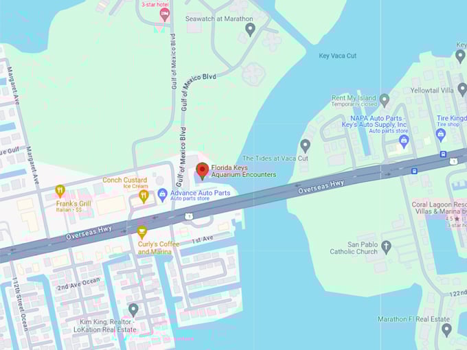 florida keys aquarium encounters 10 map