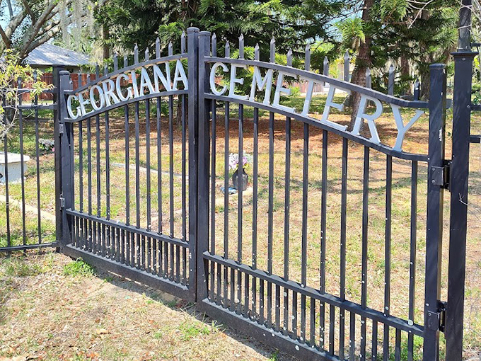 georgiana cemetery 9