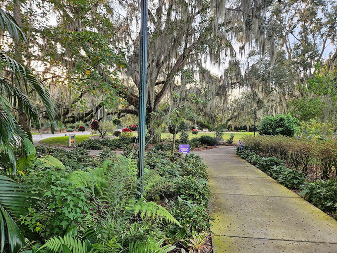 harry p. leu gardens