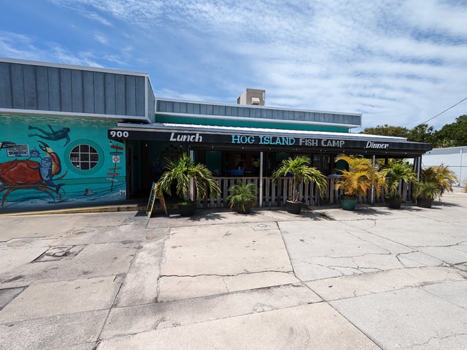hog island fish camp seafood restaurant bar dunedin fl