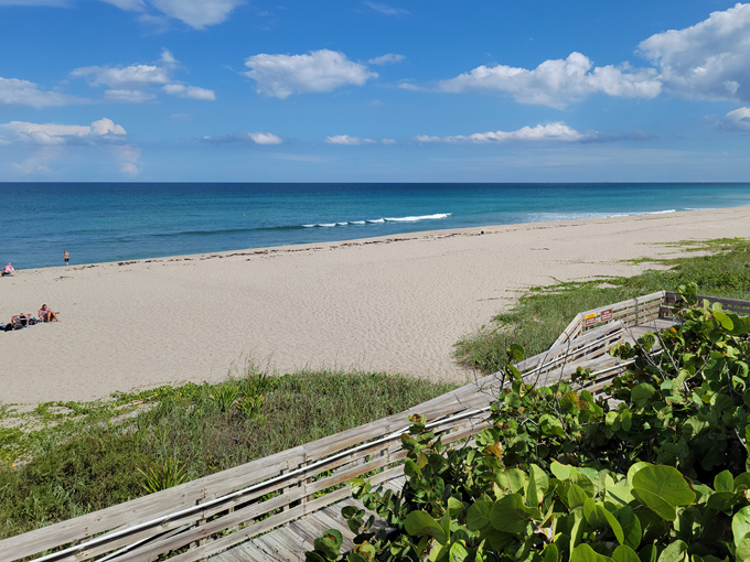 john d. macarthur beach state park 1