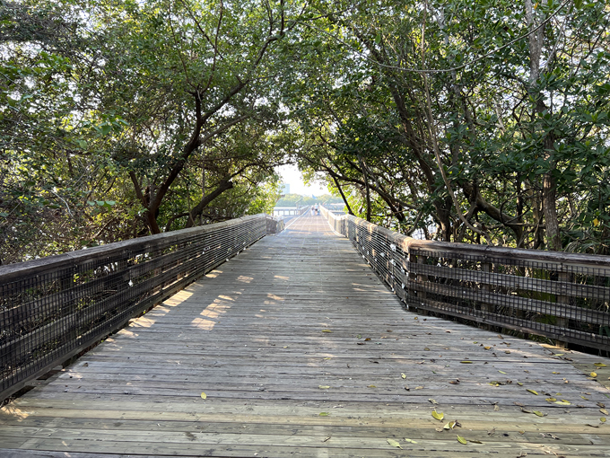 john d. macarthur beach state park 2