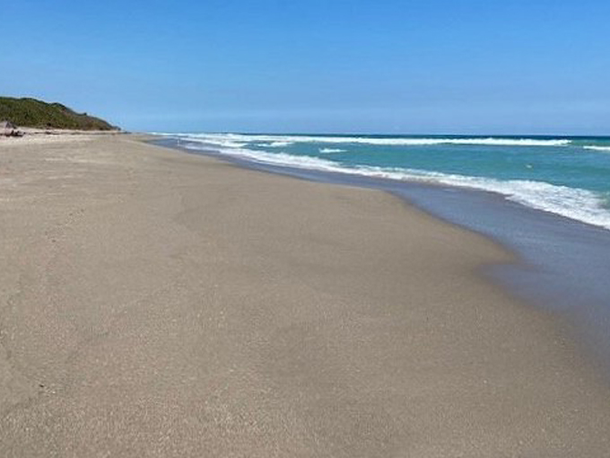 john d. macarthur beach state park 3