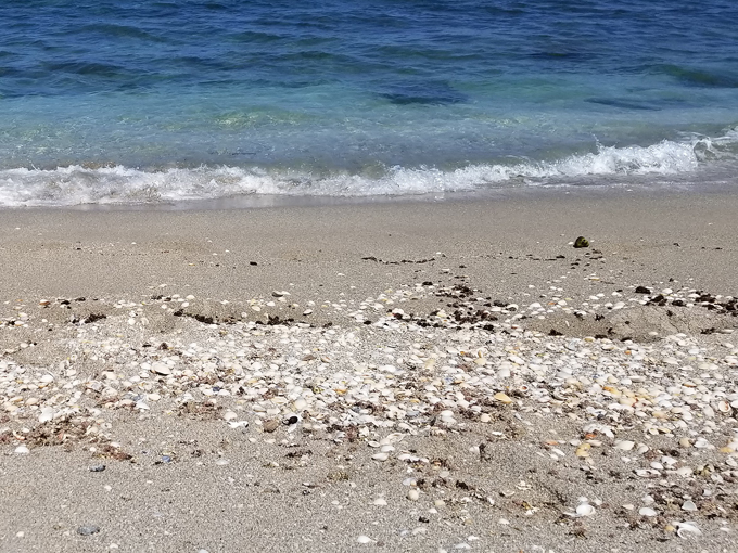 john d. macarthur beach state park 4