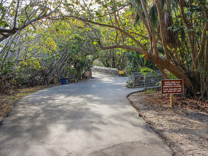 john d. macarthur beach state park 6