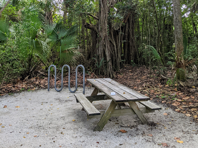 john d. macarthur beach state park 8