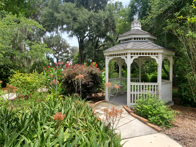 kanapaha botanical gardens 2