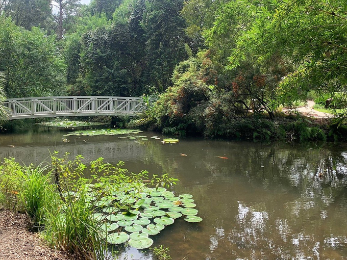 kanapaha botanical gardens 6