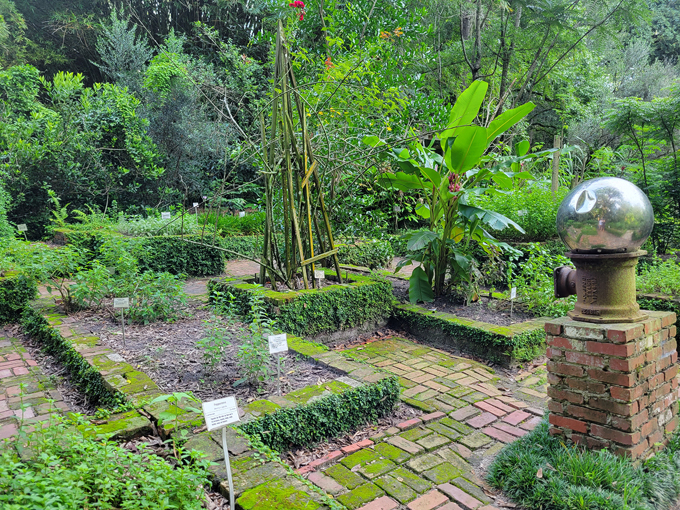 kanapaha botanical gardens 7