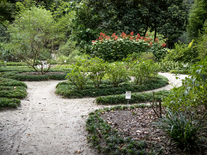 kanapaha botanical gardens 8