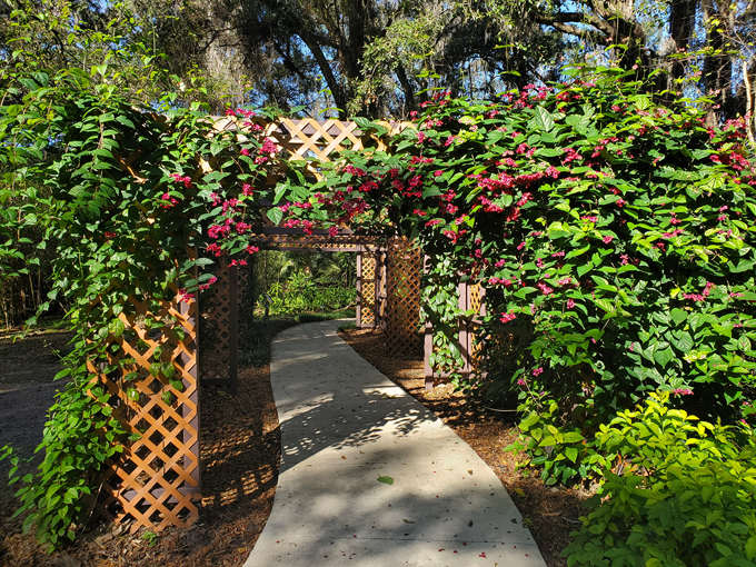 kanapaha botanical gardens 8