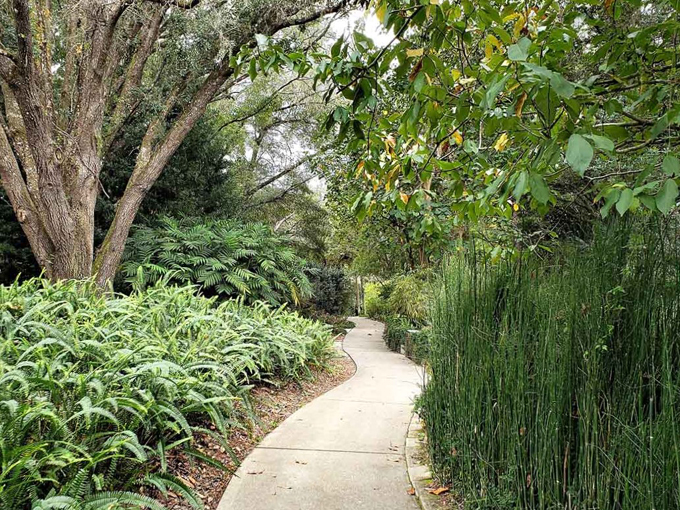 kanapaha botanical gardens 9