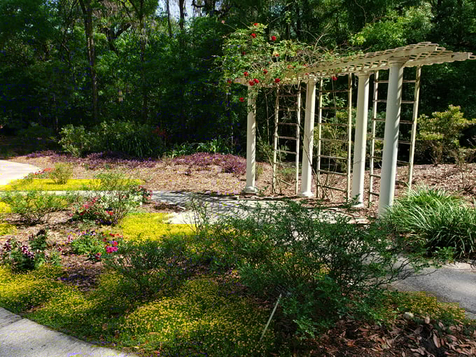 kanapaha botanical gardens 9