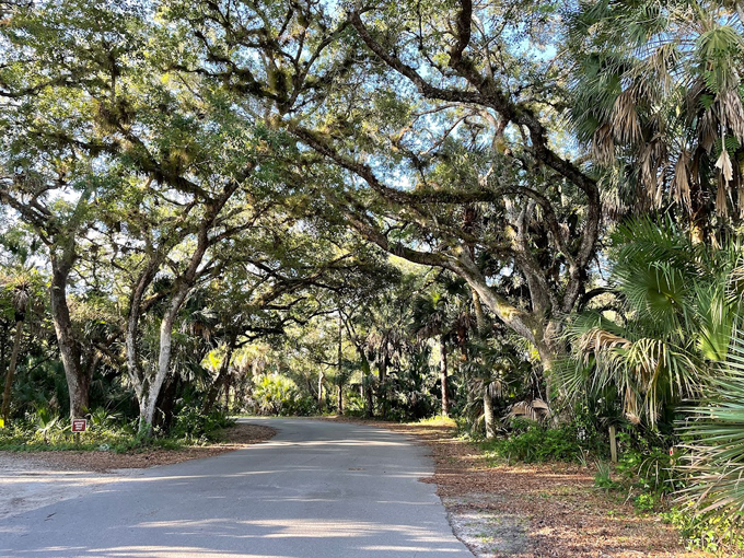 Koreshan State Historic Site 2