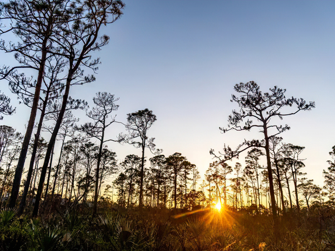 Koreshan State Historic Site 8
