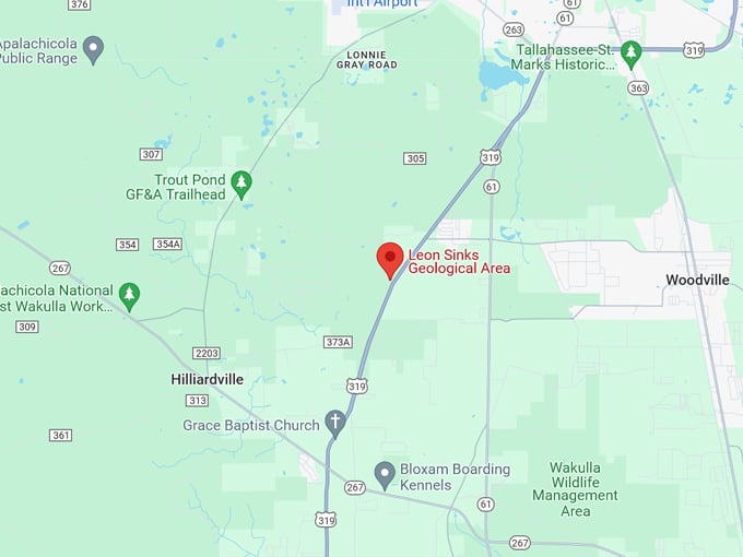 leon sinks geological area 10 map