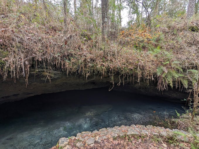 leon sinks geological area 6