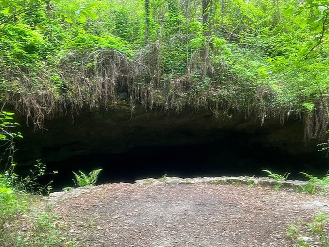 leon sinks geological area 7