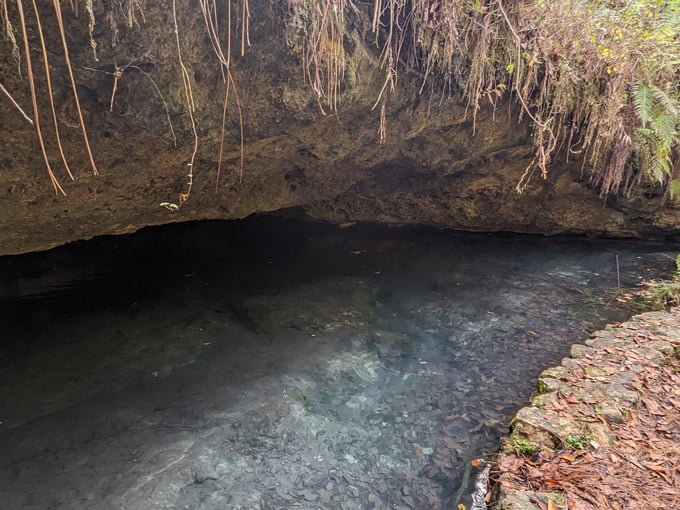 leon sinks geological area 8