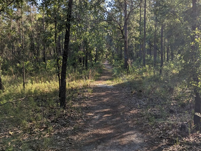 leon sinks geological area 9