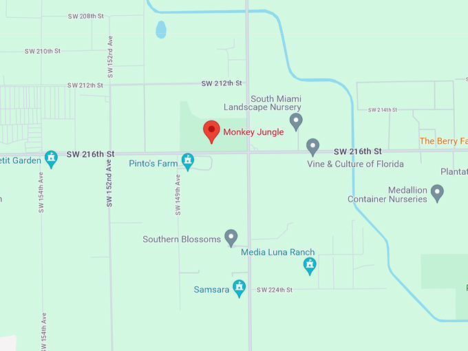 monkey jungle 10 map