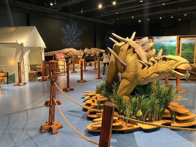 museum of discovery science