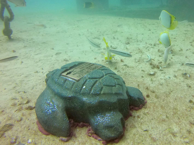 neptune memorial reef 9