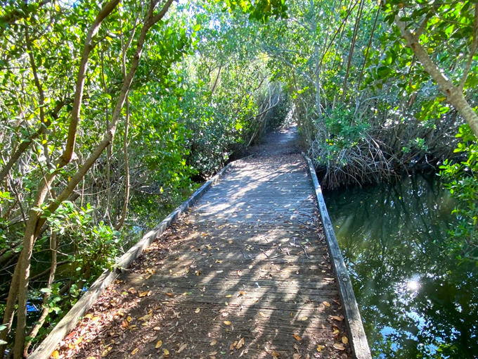 samsons island nature park 5