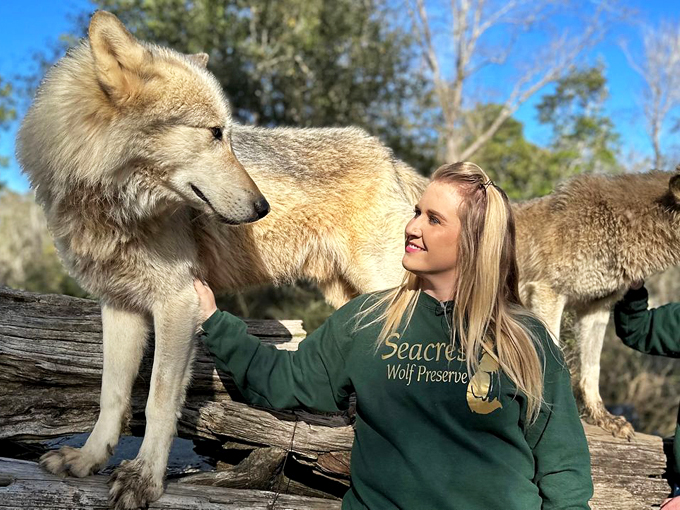 seacrest wolf preserve chipley