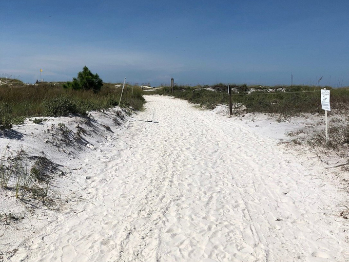 st. andrews state park 3