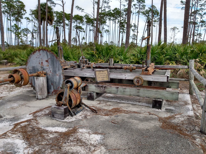 st. andrews state park 7