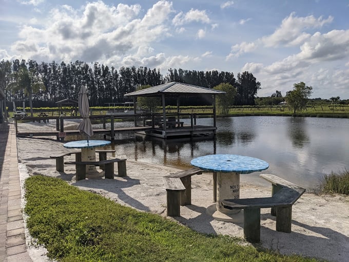 summer crush vineyard winery 6