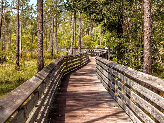 tarkiln bayou preserve state park 1