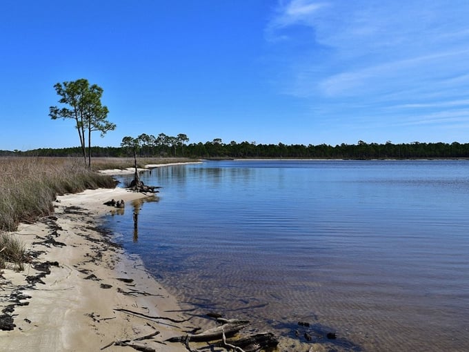 tarkiln bayou preserve state park 2
