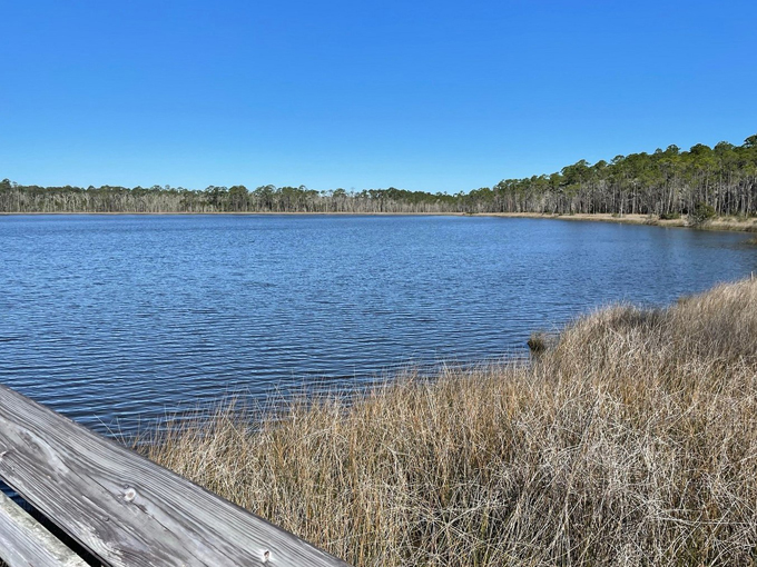 tarkiln bayou preserve state park 3