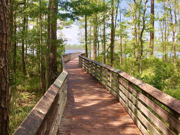 tarkiln bayou preserve state park 5