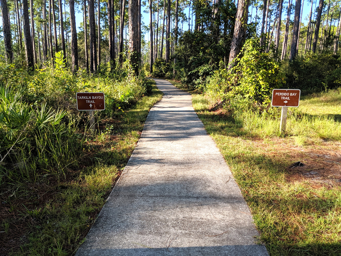 tarkiln bayou preserve state park 7