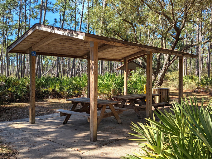 tarkiln bayou preserve state park 8