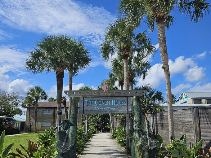 the conch house restaurant 2