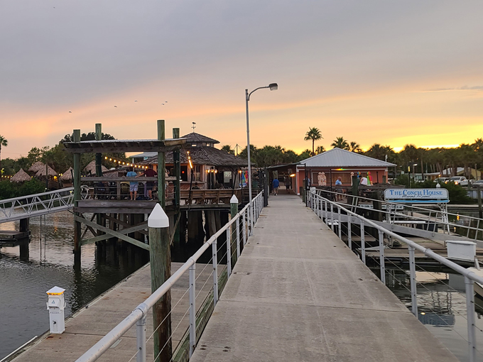 the conch house restaurant 8