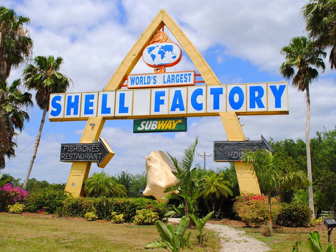 the shell factory 8