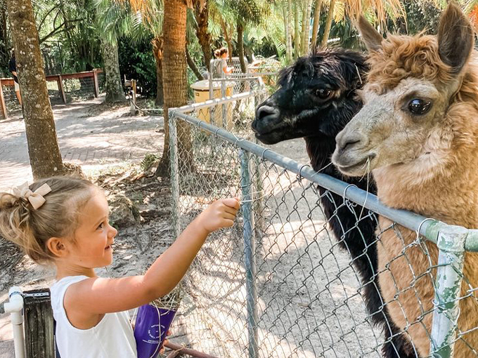 the shell factory and nature park 4