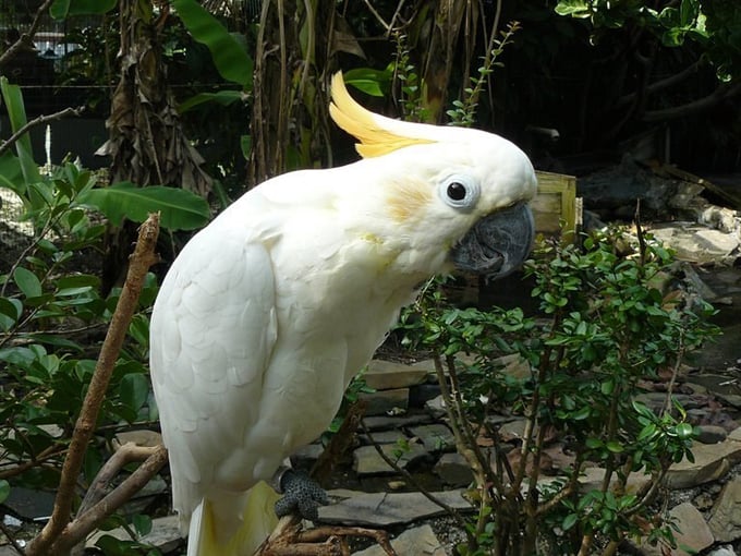 the shell factory and nature park 7