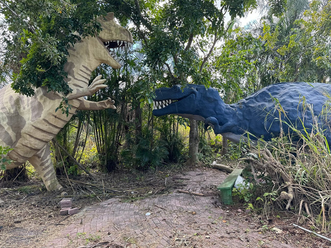 the shell factory and nature park