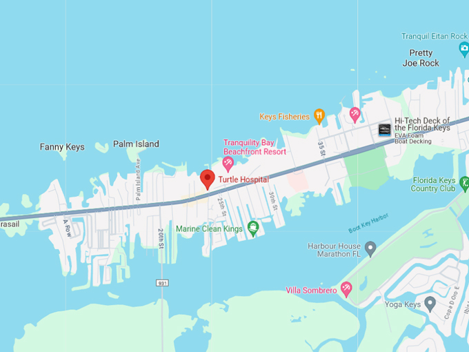 the turtle hospital 10 map