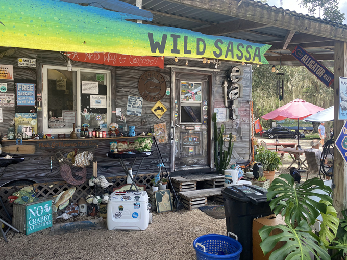 Wild Sassa Food Trailer 9