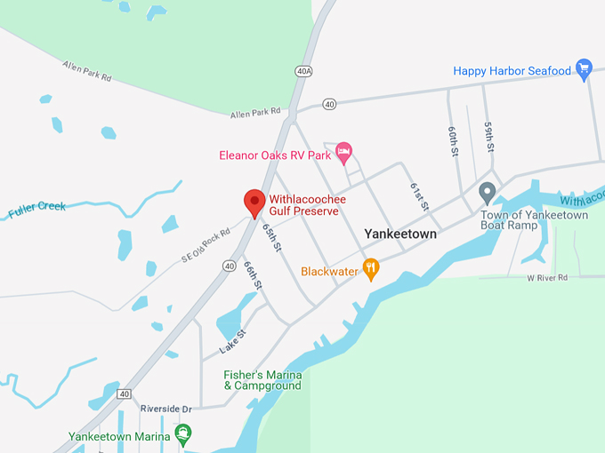 withlacoochee gulf preserve 10 map