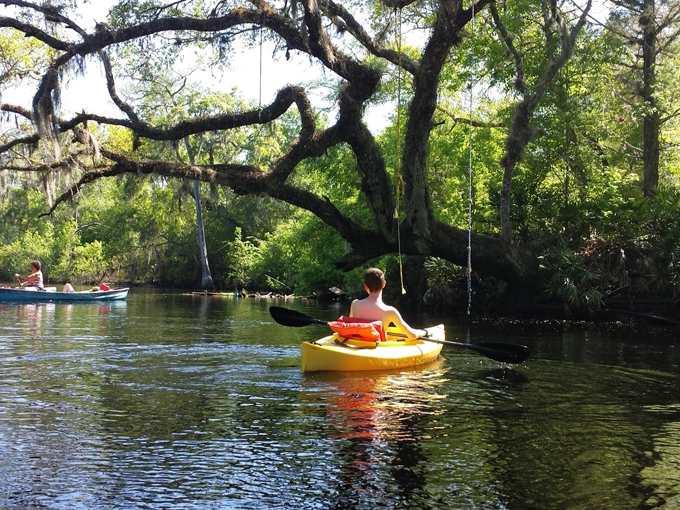 withlacoochee state forest 3