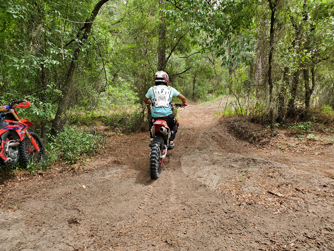 withlacoochee state forest 6