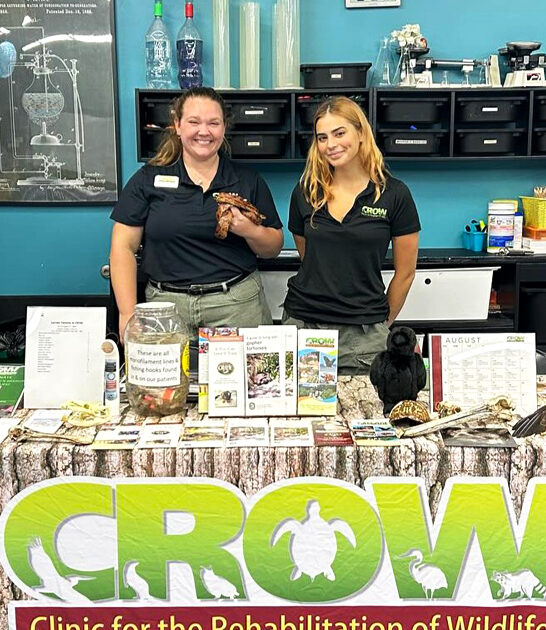 animal rehabilitation florida ftr